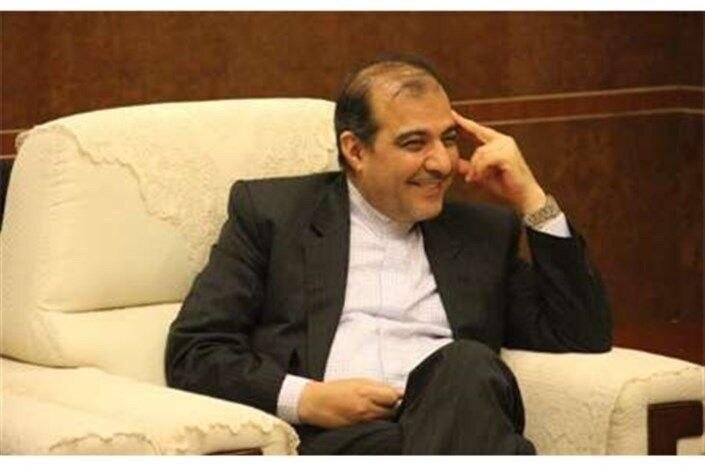 Iranian diplomat, Ansarullah spokesperson discuss Yemen crisis - ISNA