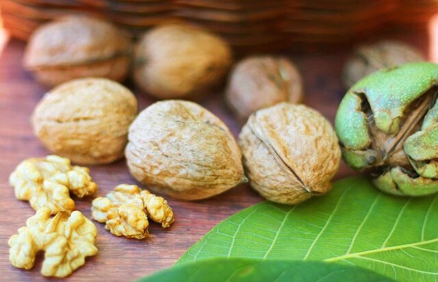 دراسة: الجوز يحمي القلب مع التقدم في العمر - إسنا