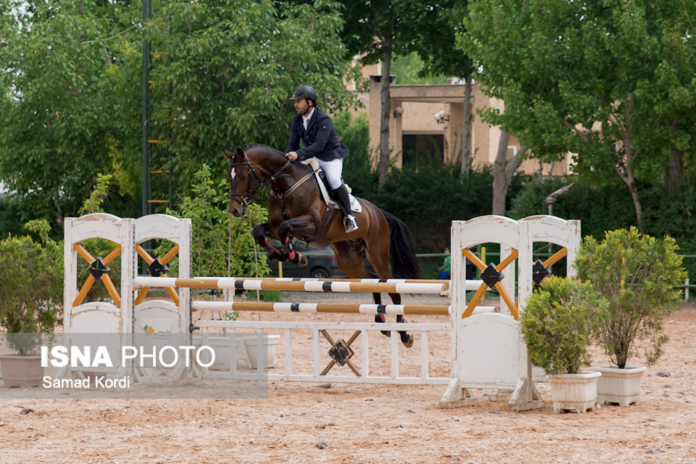 ایسنا - مسابقات جام اسب‌های برتر پرشی کشور به میزبانی استان البرز‎