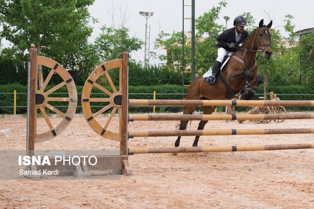 ایسنا - مسابقات جام اسب‌های برتر پرشی کشور به میزبانی استان البرز‎