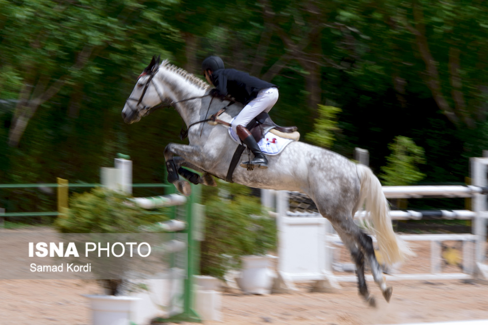 ایسنا - مسابقات جام اسب‌های برتر پرشی کشور به میزبانی استان البرز‎