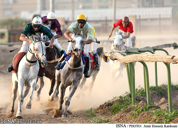 پایان جشنواره ملی کورس اسب اصیل عرب خوزستان - ایسنا