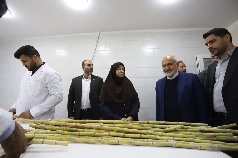 نفت باید در چارچوب محیط زیست در «هورالعظیم فعالیت داشته باشد ایسنا