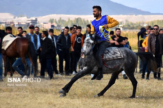 مسابقه کورس اسب دوانی در منطقه آزاد ماکو - ایسنا