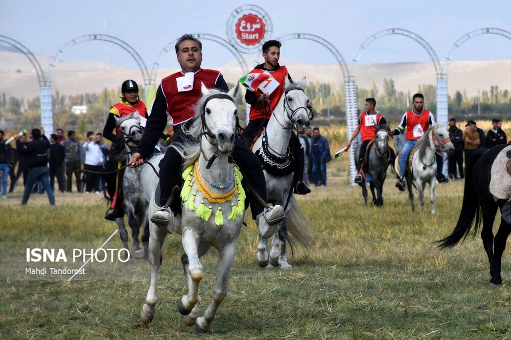 مسابقه کورس اسب دوانی در منطقه آزاد ماکو - ایسنا
